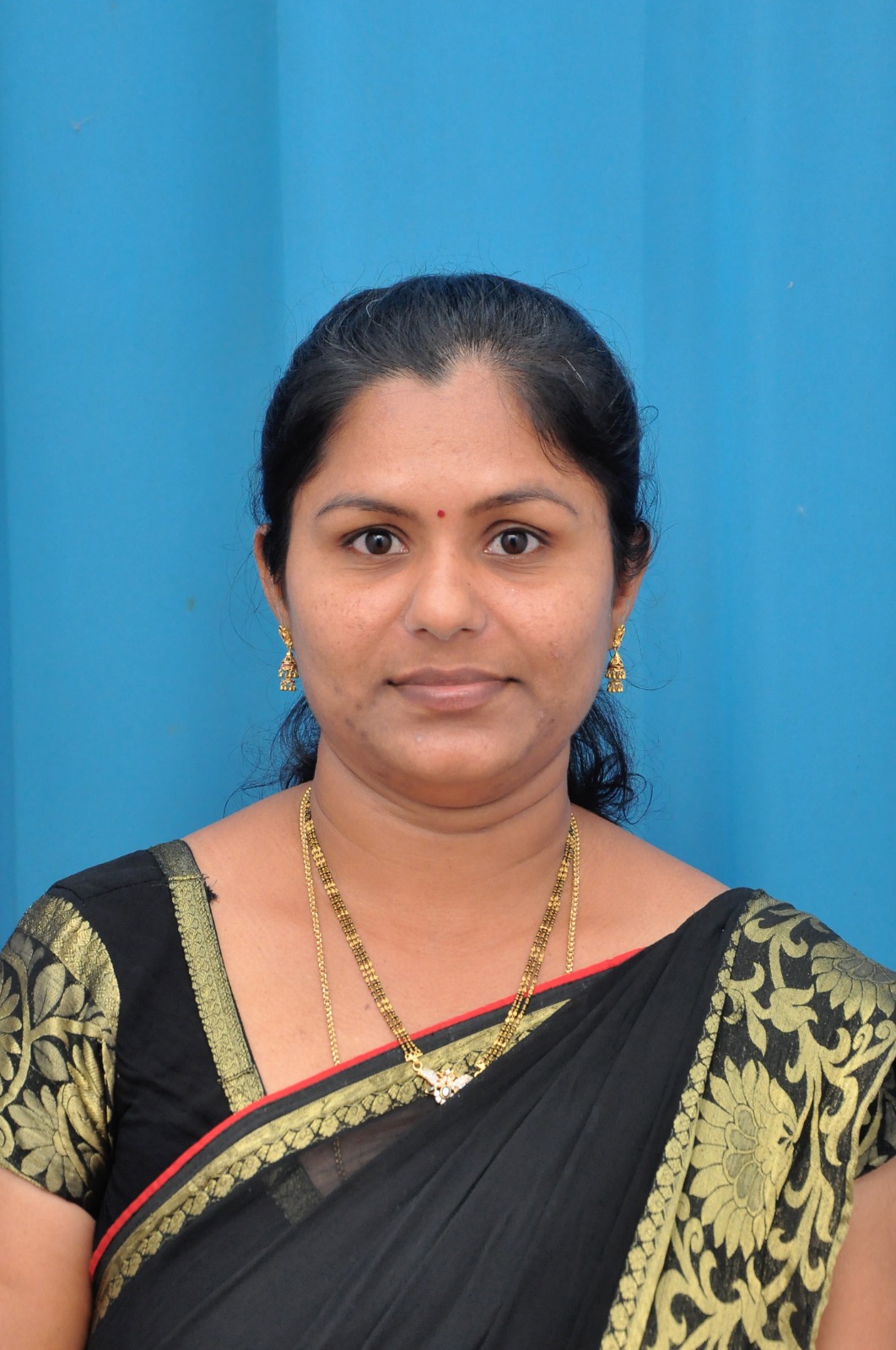 Brief Faculty Profiles